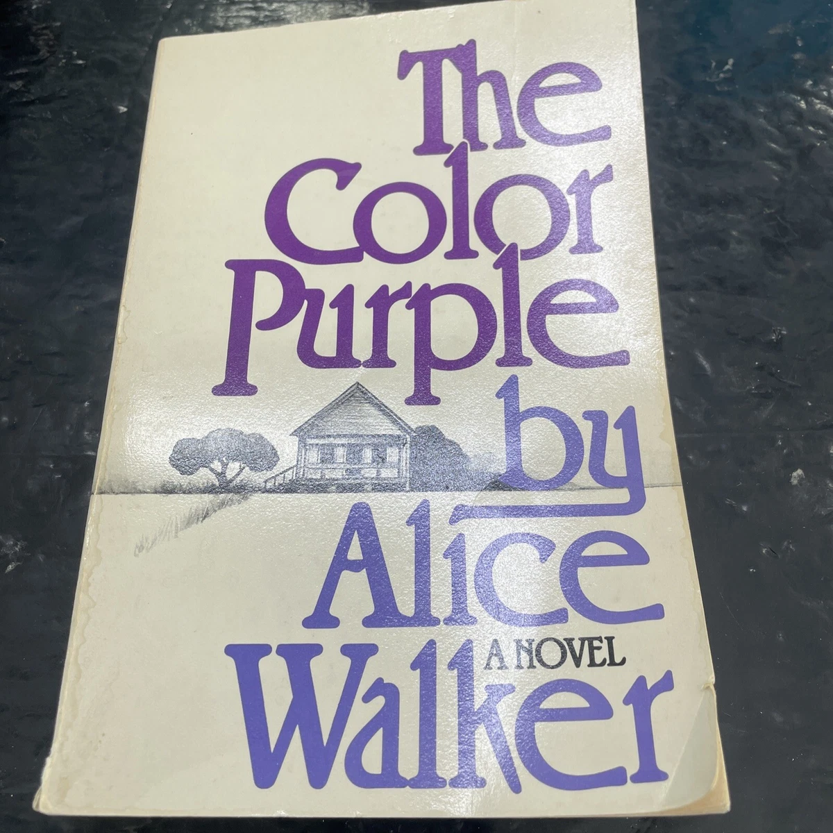 Alice Walker The Color Purple