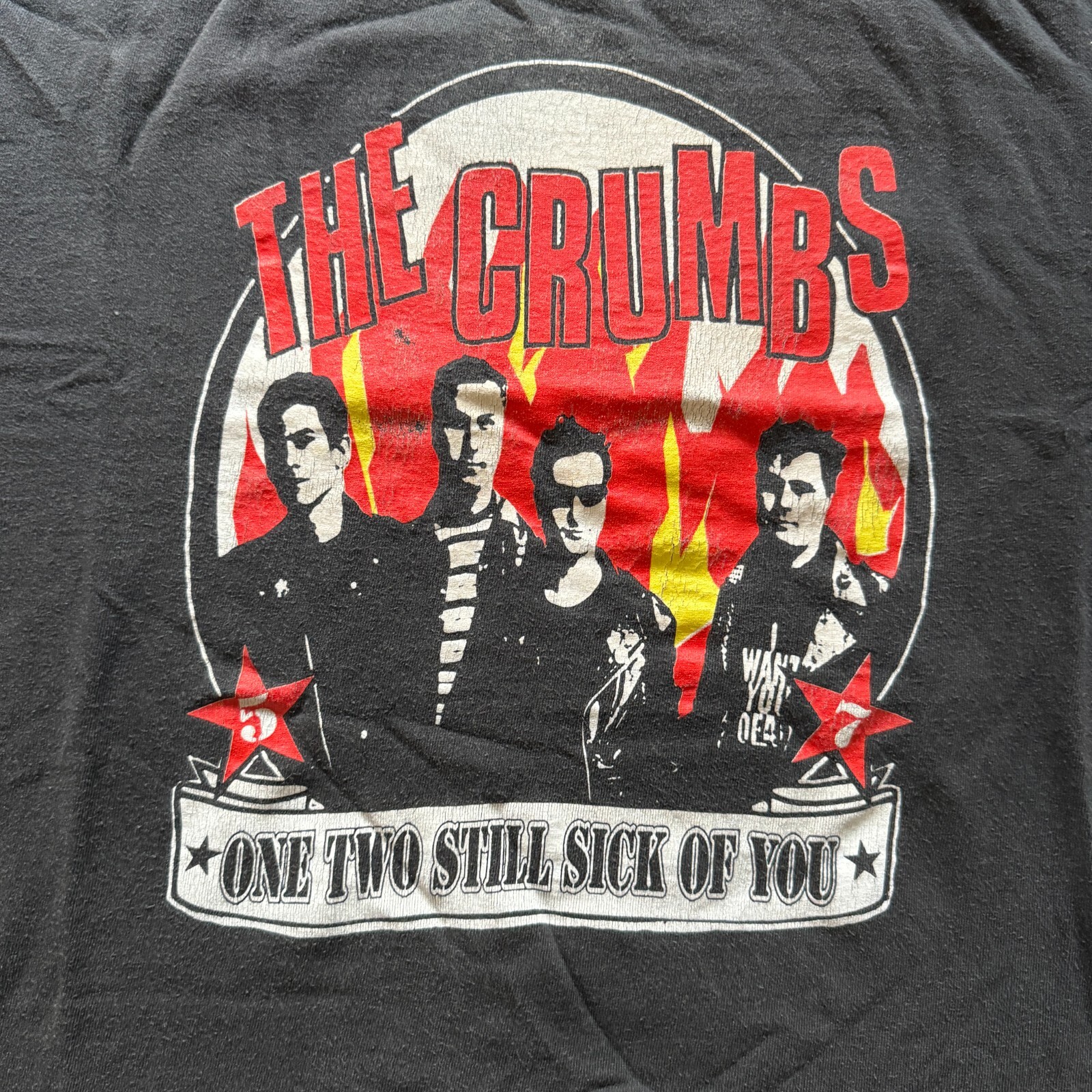 THE CRUMBS Vintage Punk Rock T-Shirt Medium M Mens 90s Lookout Records ...