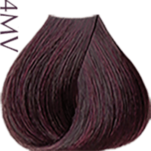 Satin Hair Color 3 oz - 4MV Dark Mahogany Violet | eBay