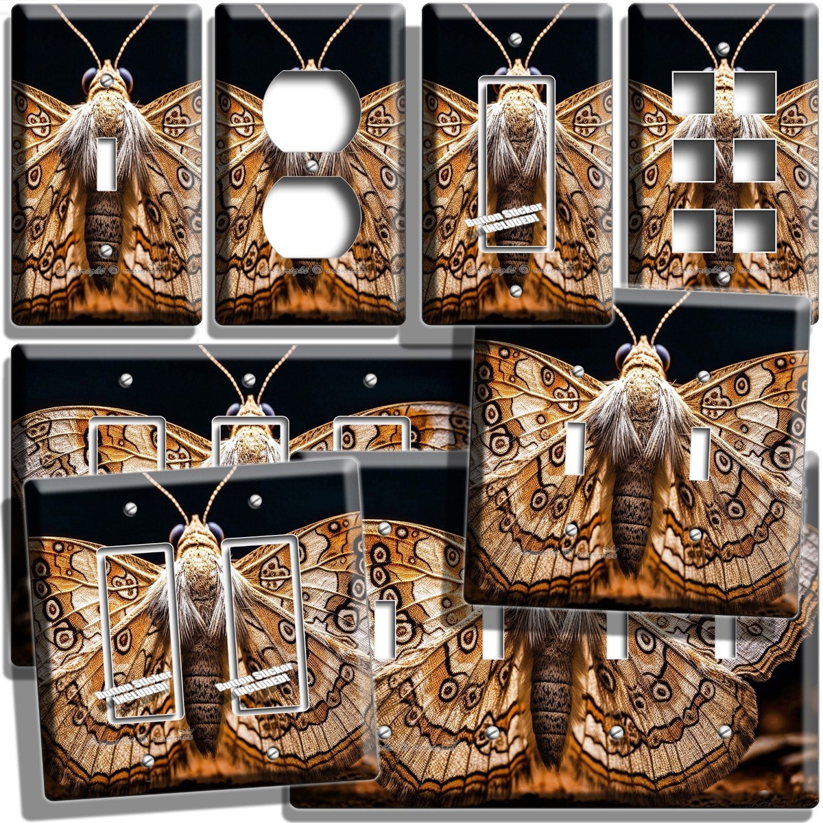 Butterfly Light Switch Covers Evolving Beauty | Shop Our Butterfly
