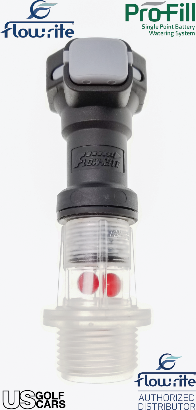 FLOW-RITE BA-003 Water Regulator (Current Style) with BA-FLW-80 (FGHT X ...