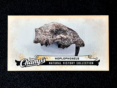 HOPLOPHONEUS 2008-09 UPPER DECK CHAMP'S MINI 08-09 NO C378 55597 | eBay