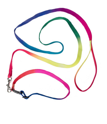 Rainbow collar & leash lead to fit 14" to 18" build a bear dog animals ...