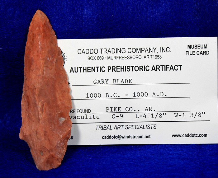 Huge Gary Blade Authentic Prehistoric Arrowhead Artifact Native ...