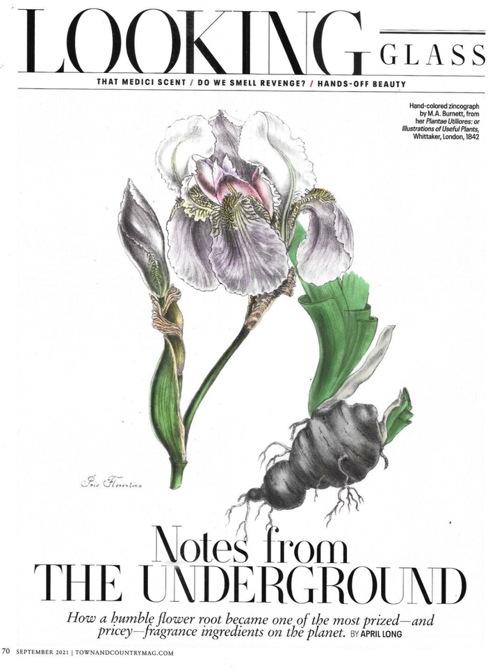 Town And Country Magazine Rachel Zegler Duchess Fergie Bichon Boot Camp ...