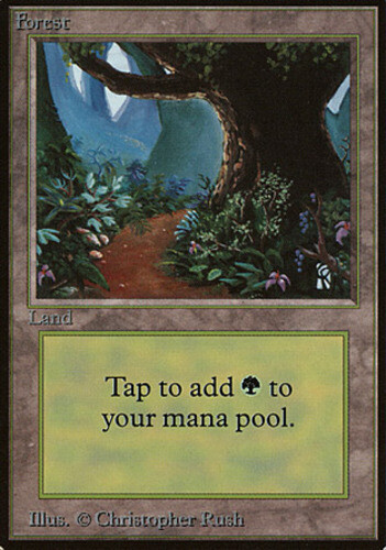 MTG Forest (Path), Heavy Play, English Beta | eBay