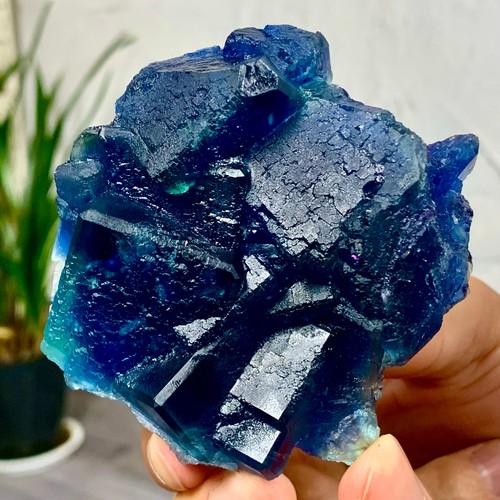 255G Natural Rare blue green cubic fluorite mineral crystal sample ...
