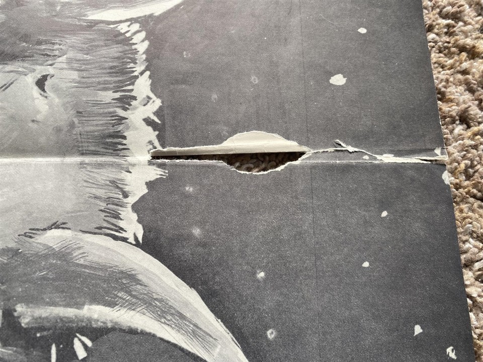 VTG Black & White Moon Monster Poster - 27" x 37" - Ordered from Comic ...