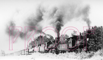 Rio Grande Southern (RGS) Engines 42 & 455 near Peak, CO in 1940 - 8x10 ...