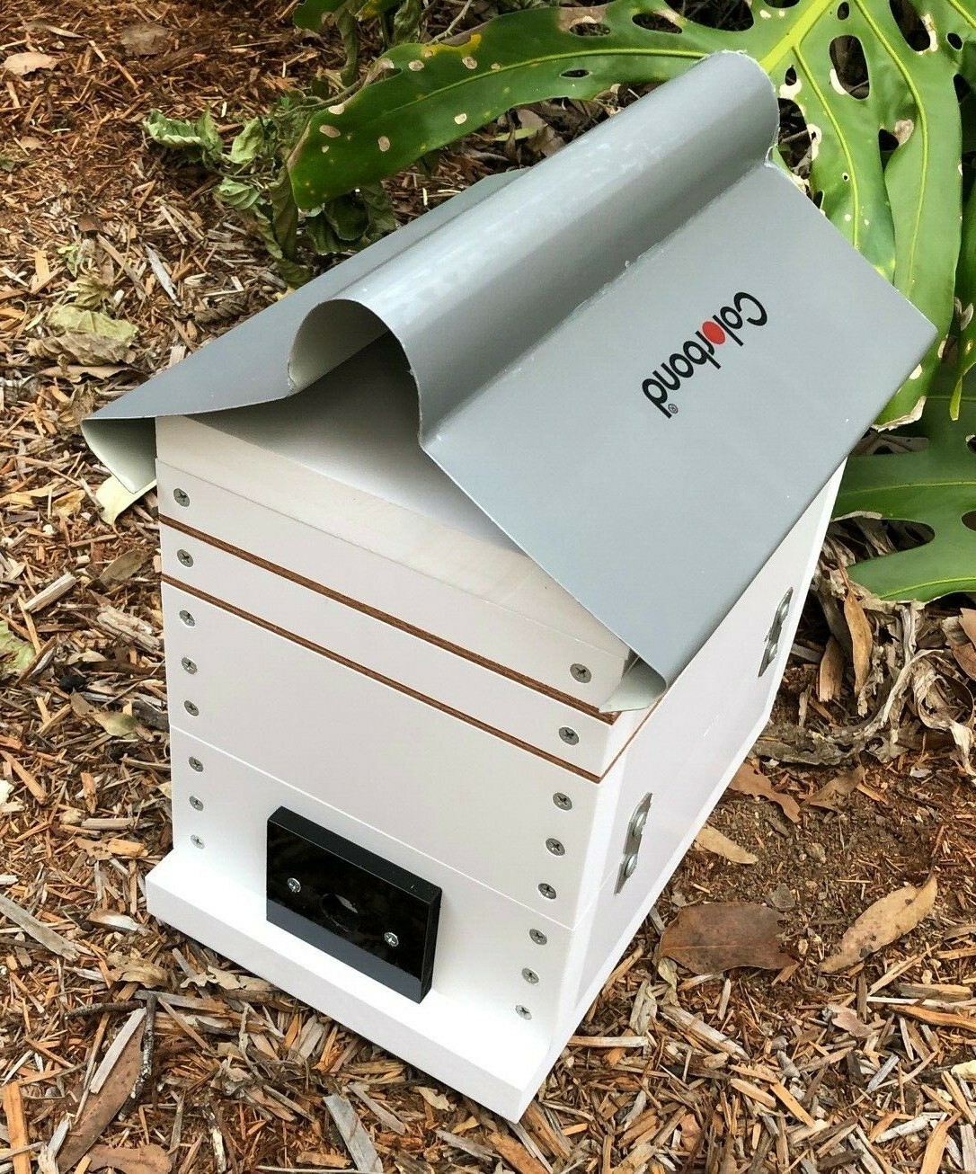 Stingless Native Bee Hive Honey Frame Design With Roof | Composite OATH ...