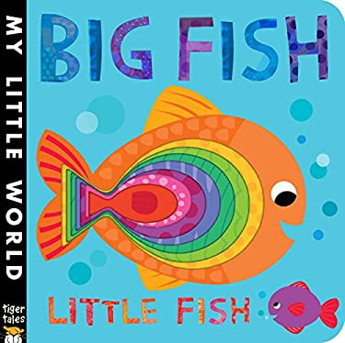 Big Fish Little Fish Board Books Jonathan Litton 9781589252158| eBay