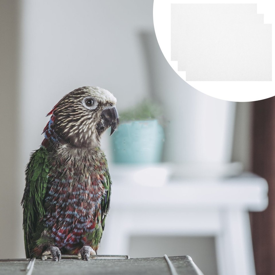 100 Pcs Water Absorption Tray Birdcage Liners Small Pet Pads for | eBay