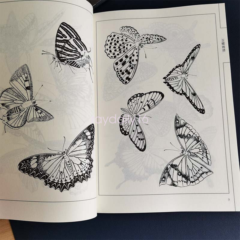 Butterfly Drawing Sketching Manuscript Sheet Tattoo Flash Book Art ...