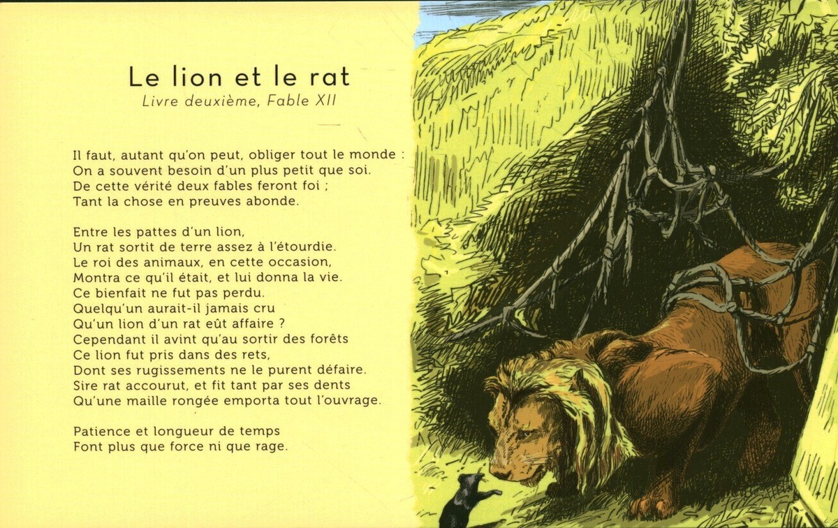 Le Lion Et Le Rat Image Of Le Lion Et Le Rat, Fable De Jean De La By