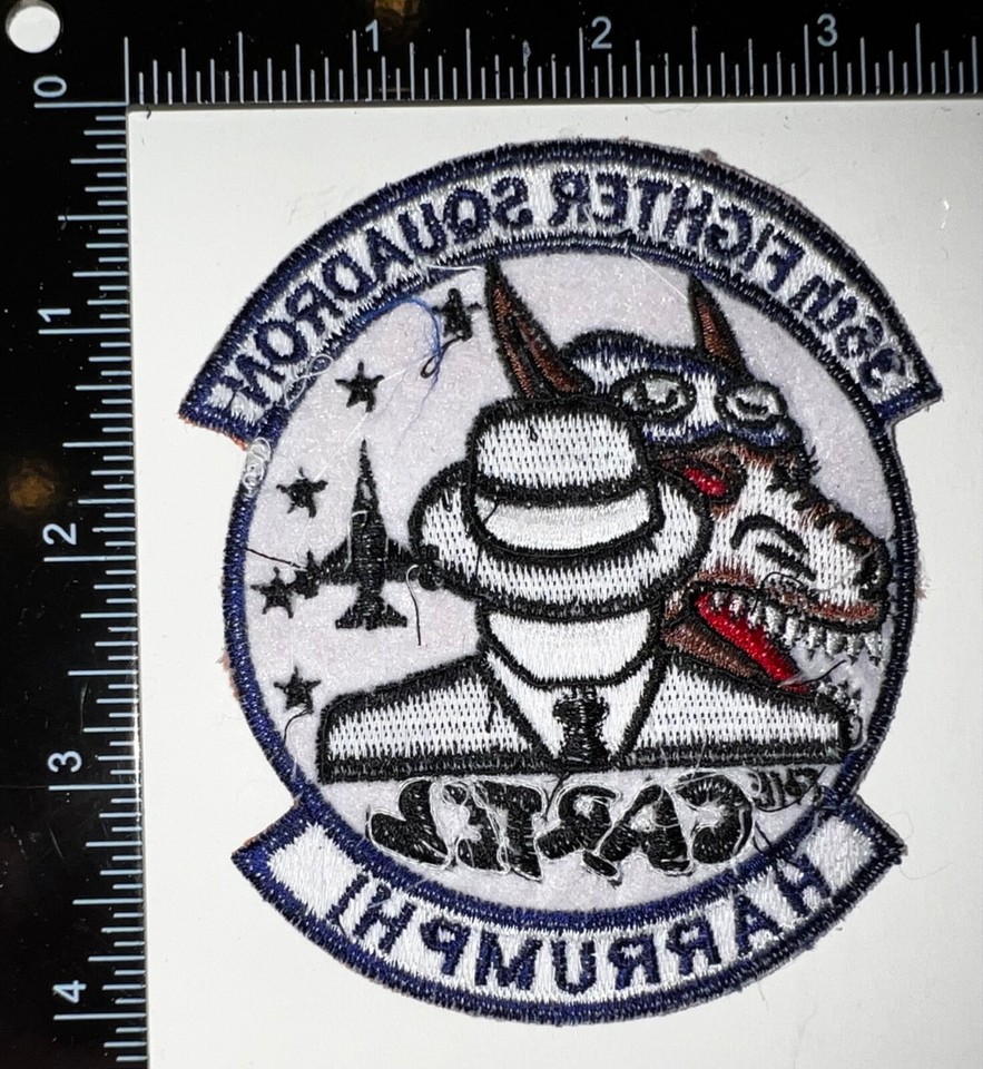 USAF US Air Force 36th Fighter Squadron The Cartel Harrumph! Patch | eBay