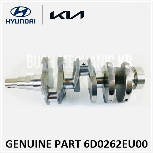 GENUINE OEM Hyundai Kia Crankshaft Assy 6D0262EU00 Elantra Soul ...