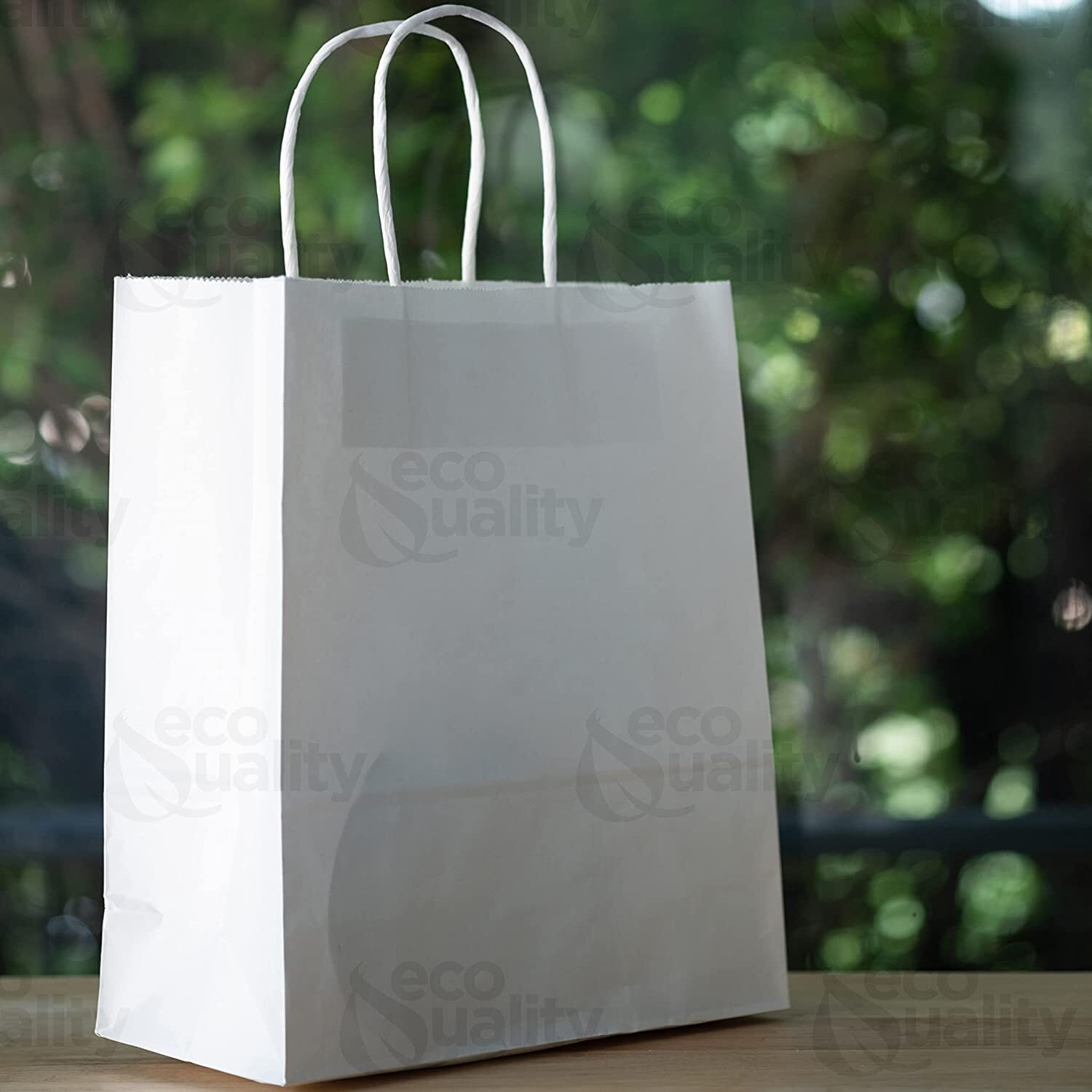 10x5x13 Small Kraft White Paper Shopping Bags with Twine Handles ...
