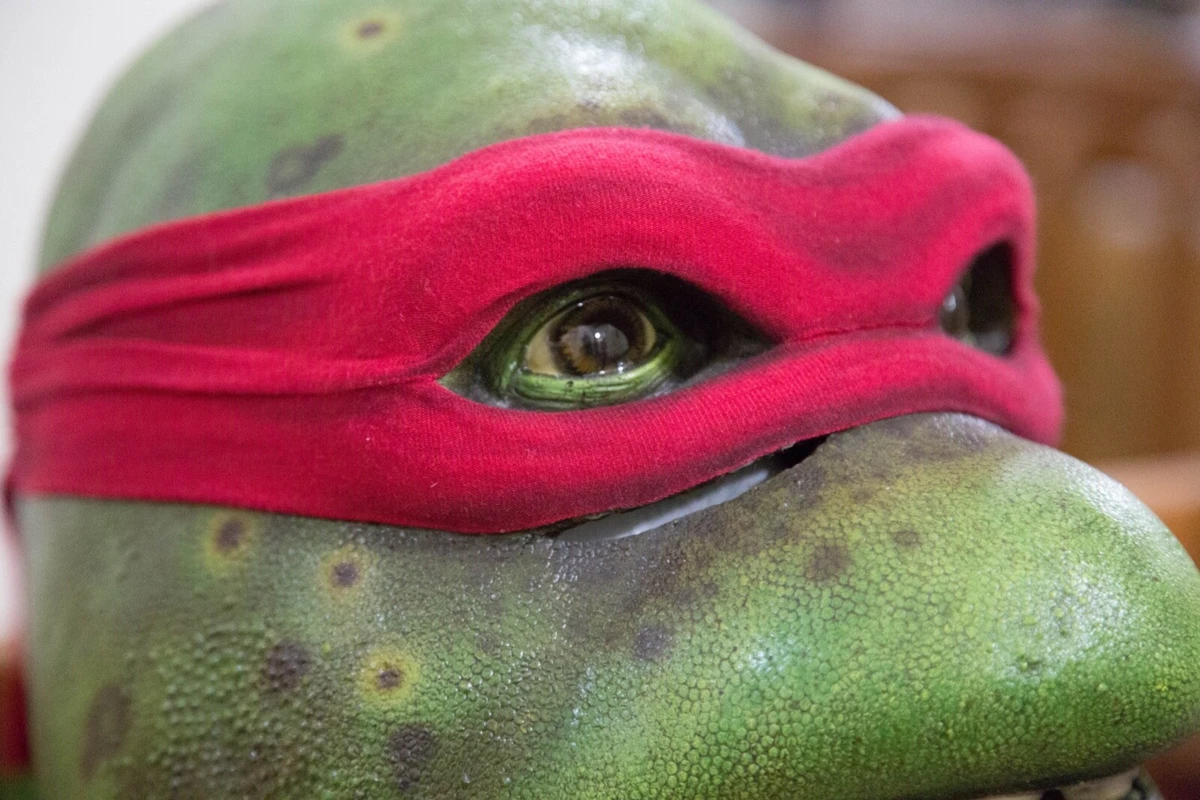 Raphael Ninja Turtle Costume