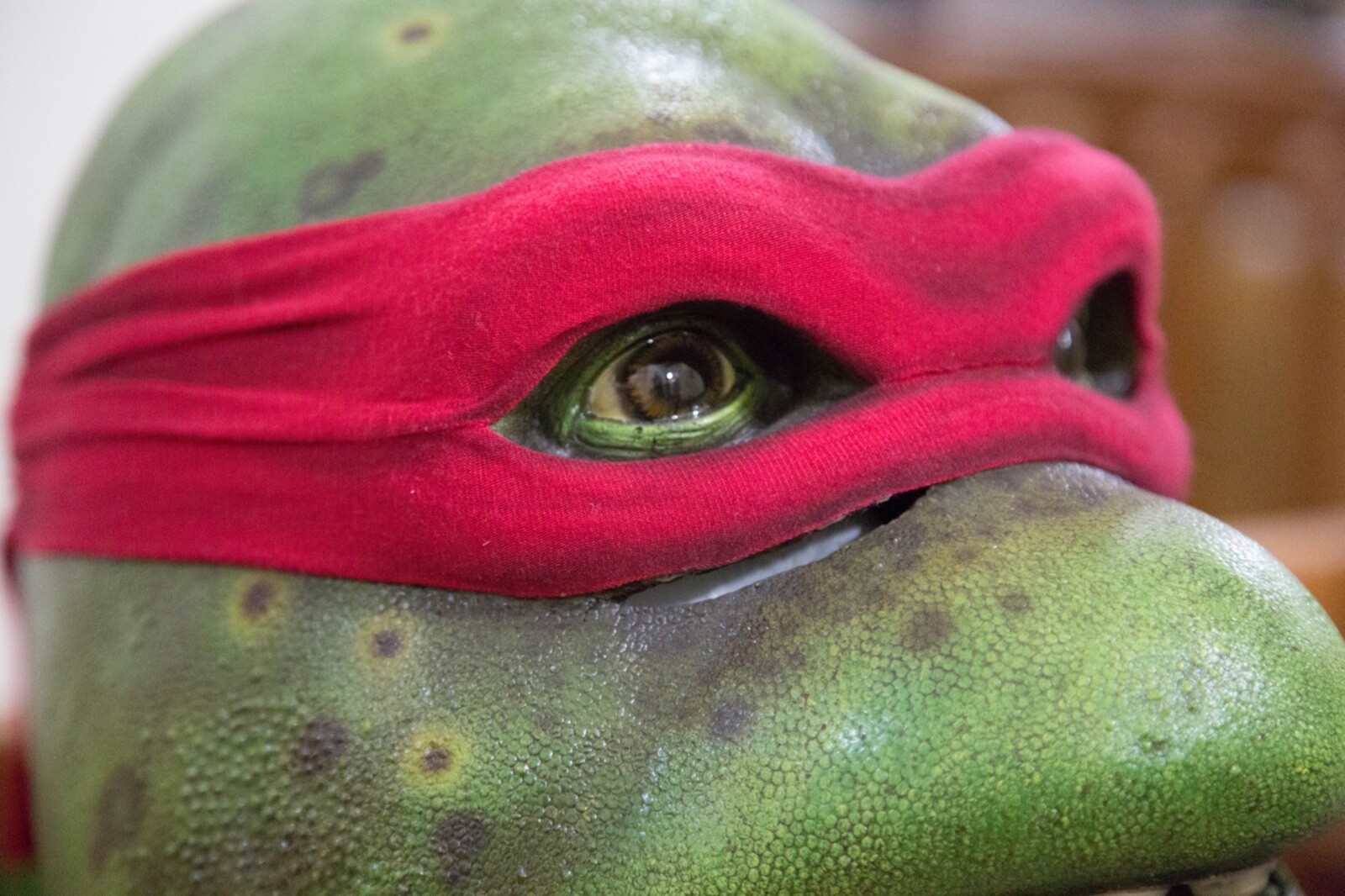 Teenage Mutant Ninja Turtles Raphael costume display prop replica TMNT ...