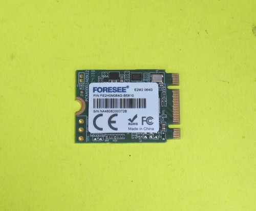 64GB M.2 SSD 2230 FORESEE FE2H0M064G-B5X10 E2M2 (From Valve Steam Deck ...