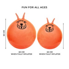 Large Space Hopper for sale | eBay UK