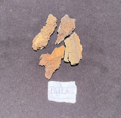 EPO IGILA Arbol Sagrado (4x) USA Corteza Orula Babalawo Wood Bark Anti ...