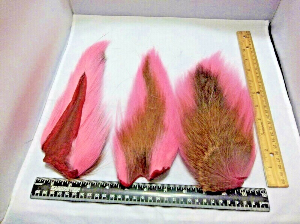 1 BUCK TAIL Deer tails hair - Premium Fly Tying Material - Natural ...