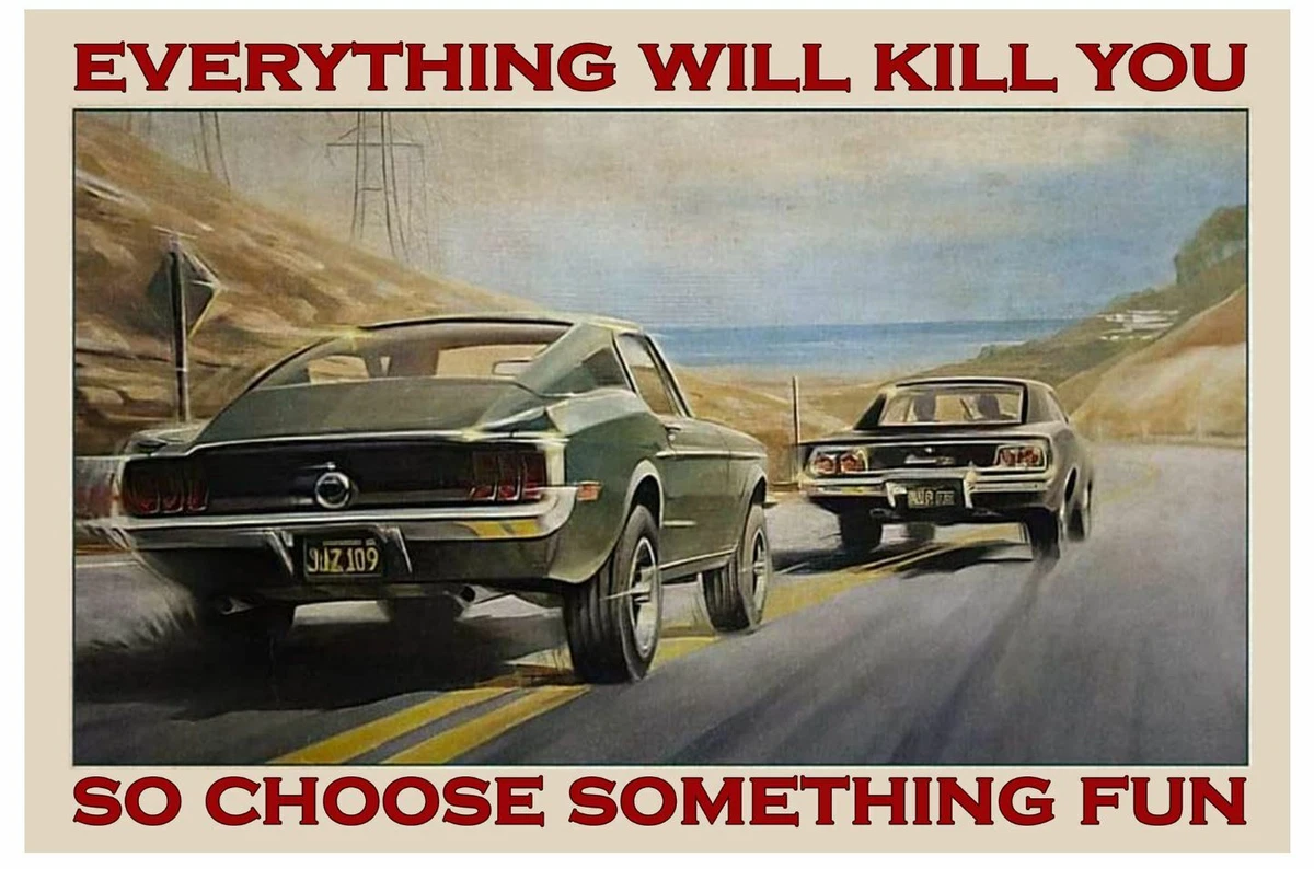 Funny Mustang Posters