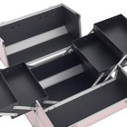 Extra Large Vanity Case Beauty Box Make up Cosmetic Nail Storage ...