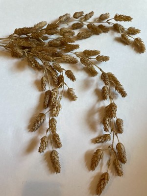 Artificial Fall Hanging Hops Stem - 32" Beige | eBay