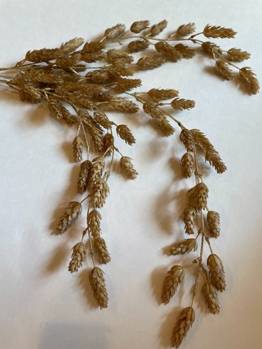 Artificial Fall Hanging Hops Stem - 32" Beige | eBay