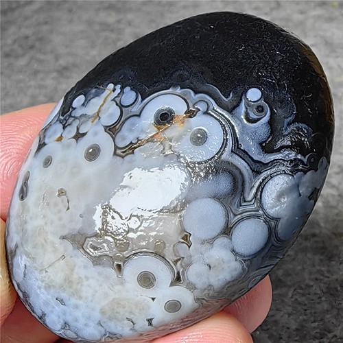 49g Bonsai Suiseki-Natural Gobi Agate Eyes Stone-Rare Stunning Viewing ...