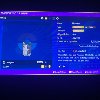 Pokemon Scarlet And Violet Shiny Morpeko 6IV Battle Ready Fast Delivery ...