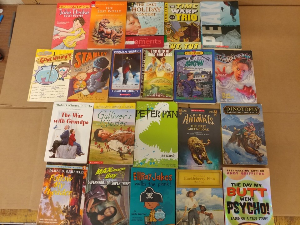 Lot of 20 Chapter Books for BOYS Youth Early Reader Young Adults ...