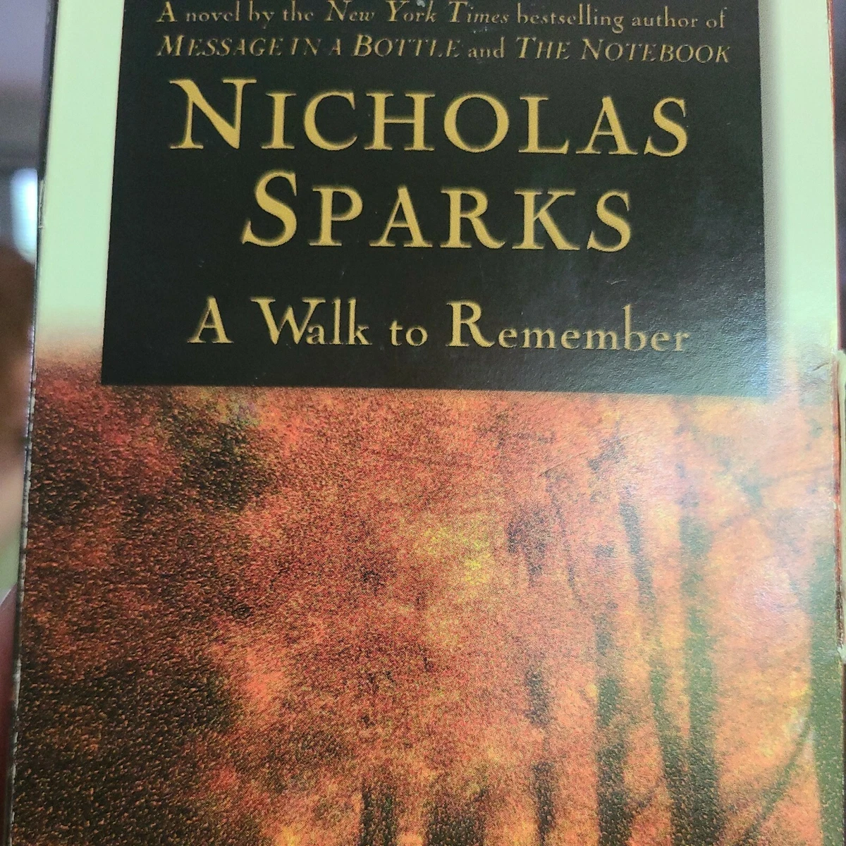 A Walk To Remember Book Cover