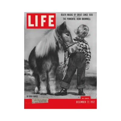 VTG Life Magazine December 22, 1952 30-inch Horse | eBay