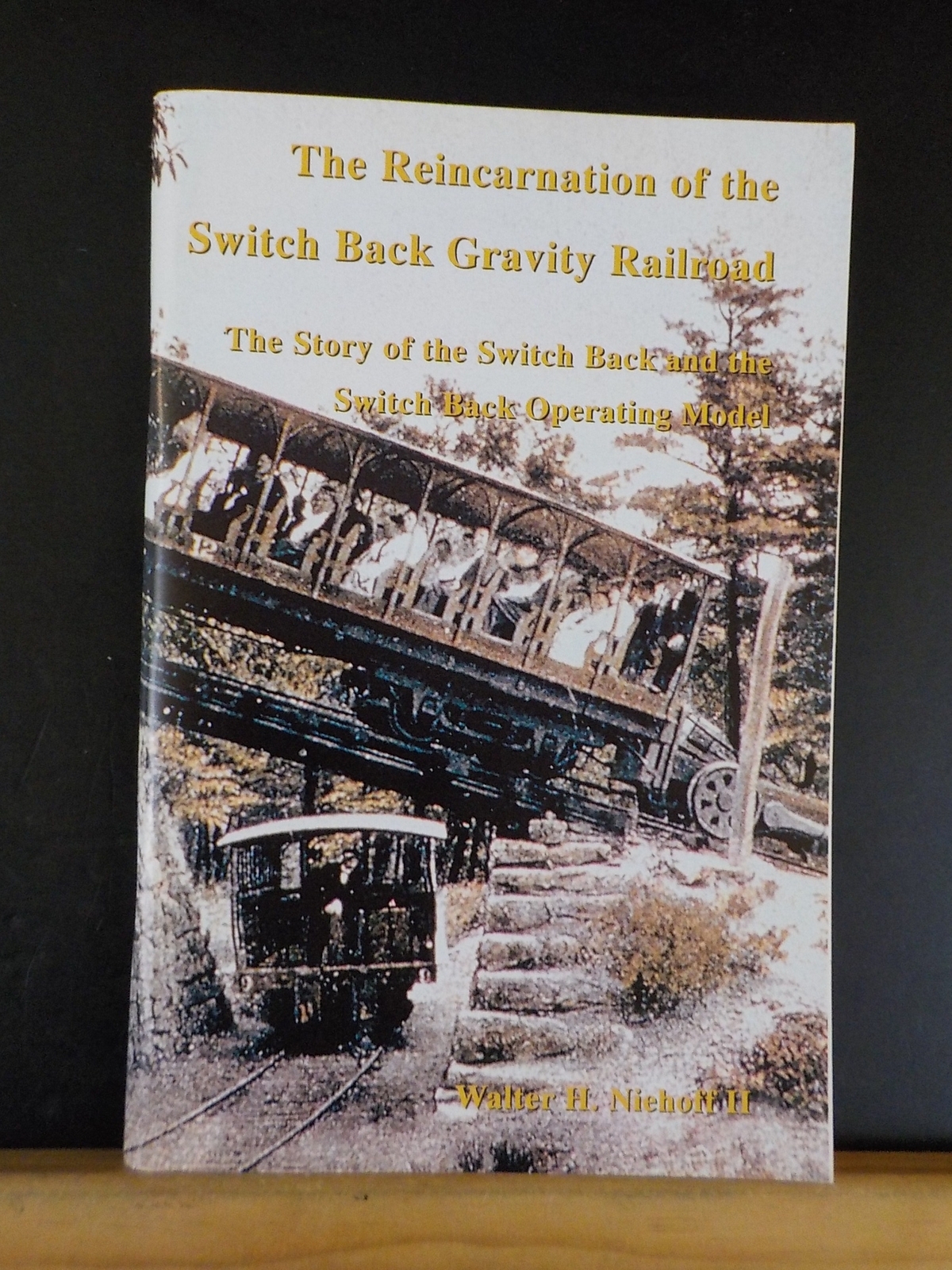 Reincarnation of the Switch Back Gravity Railroad By Walter Niehoff II ...