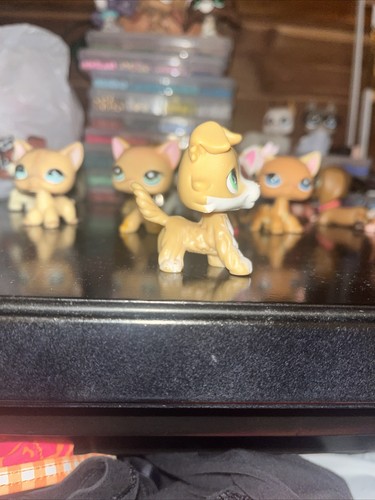 LPS AUTHENTIC Littlest Pet Shop Yellow Collie #272 | eBay