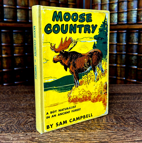 Moose Country, Boy Naturalist in Ancient Forest, Sam Campbell ...
