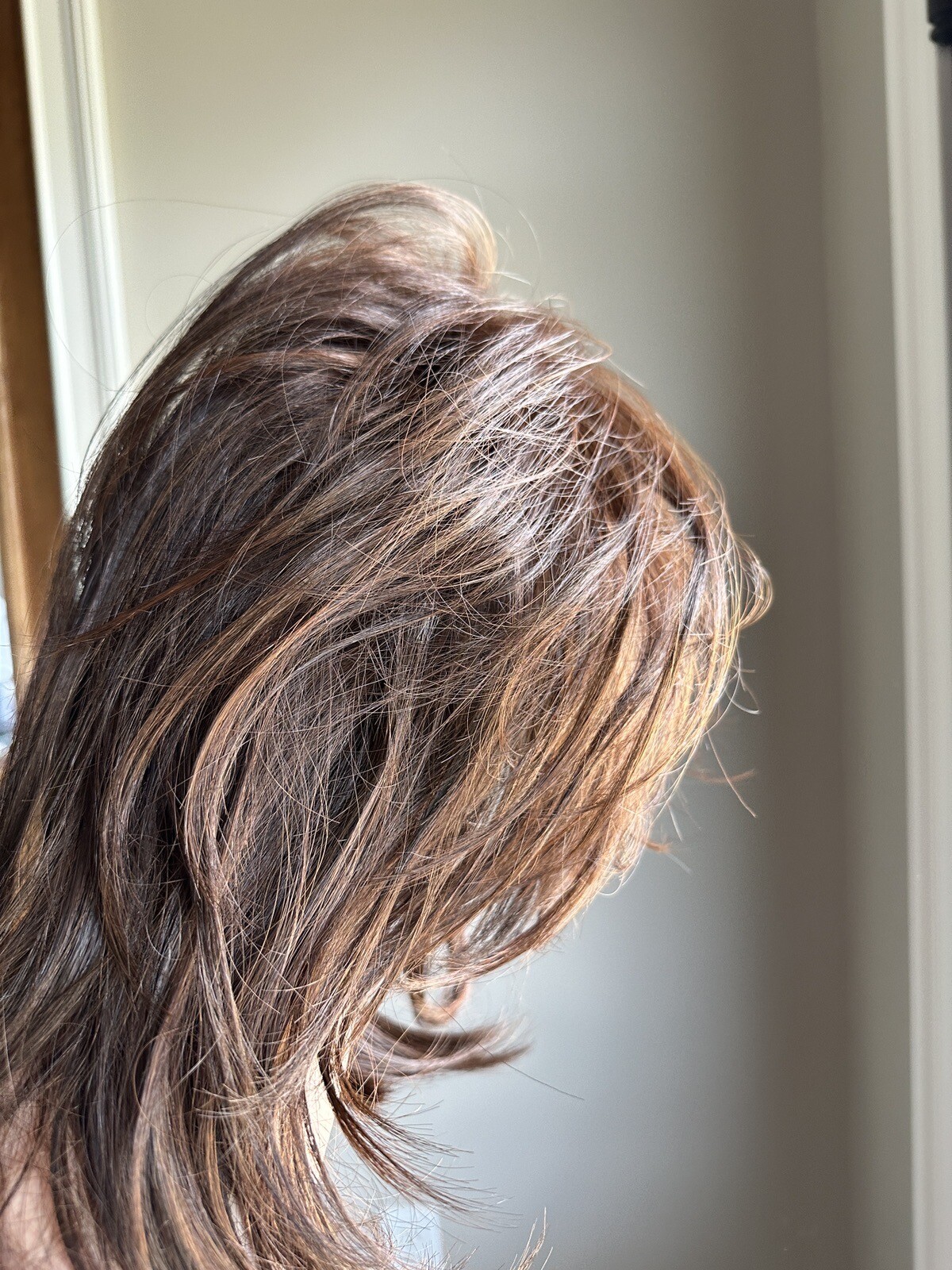 LUMINOUS Wig by TONI BRATTIN, Mid Length Layered Wig, Medium Brown Size ...