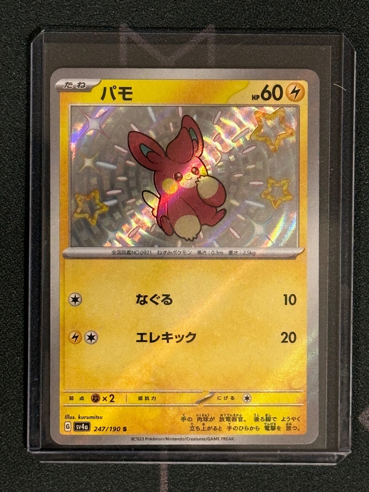 Pawmi 247/190 SV4a 2023 Pokemon Shiny Treasure ex Holo Japanese NM/M | eBay