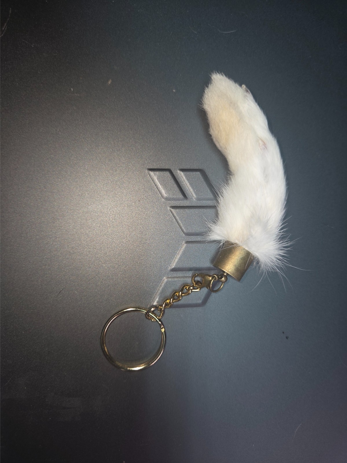 Genuine lucky rabbit's foot keychain (small) | eBay