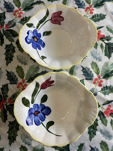 Blue Ridge Southern Potteries “Sun Bouquet” Lugged Soup Bowls (2) | eBay