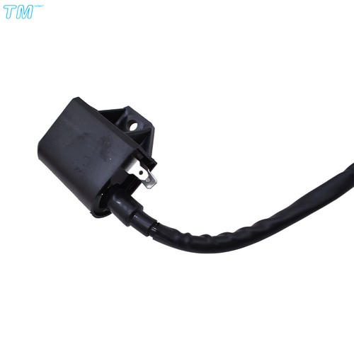 Ignition Coil For Polaris Ranger 400 2010-2014 Ranger 500 2004-2009 ...