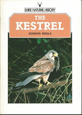The Kestrel (Shire natural history) by Riddle, Gordon Paperback Book ...