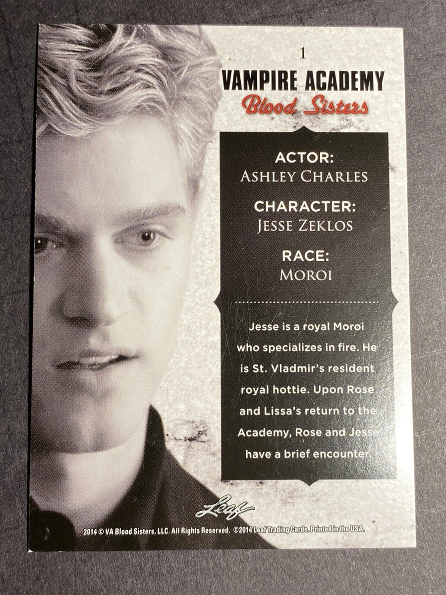 Vampire Academy Rose And Jesse