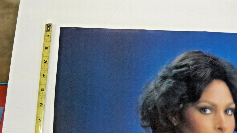 1982 VINTAGE DEBORAH ZULLO - SEXY FEMALE MODEL IN BLUE LINGERIE | eBay