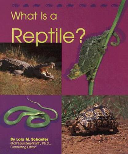 What Is a Reptile? (The Animal Kingdom) - Paperback By Schaefer, Lola M ...