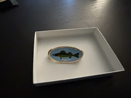 Michigan Walleye Hat/Lapel Pin - Mich-Dist 11-A1 (2003-2004) | eBay