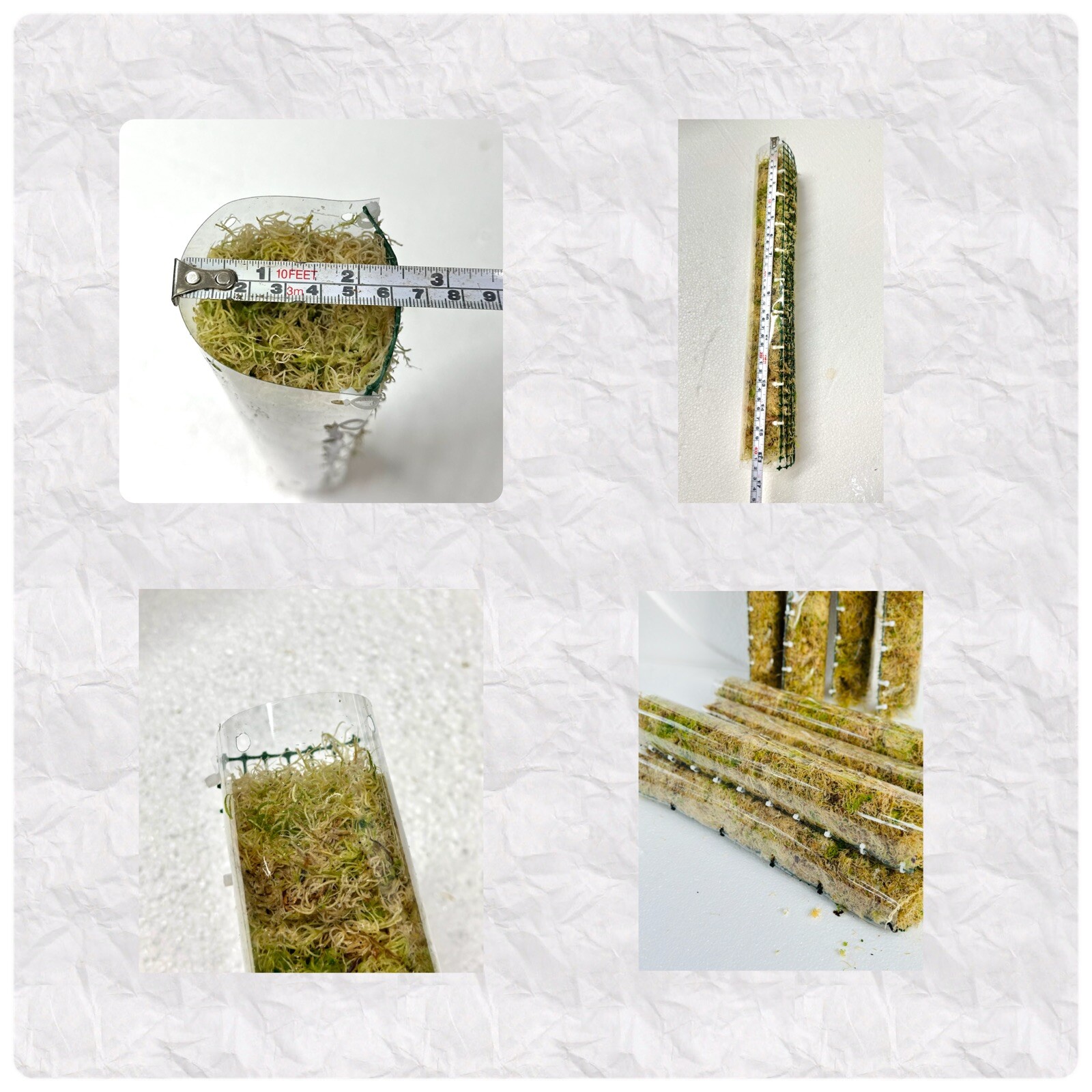 1x Clear moss pole with sphangnum moss,plant Support | eBay UK